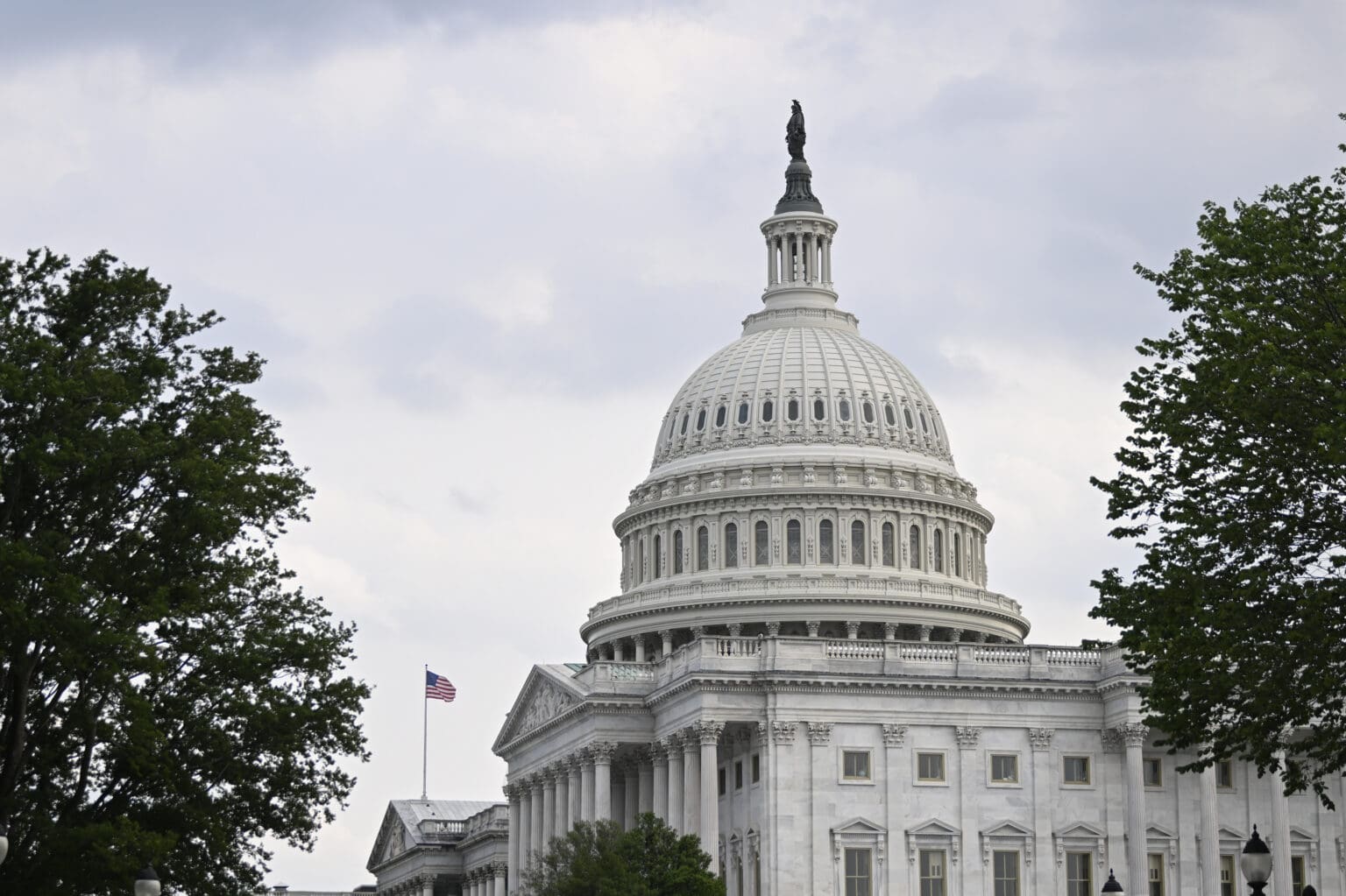 Amnesty International USA | Human Rights Organization