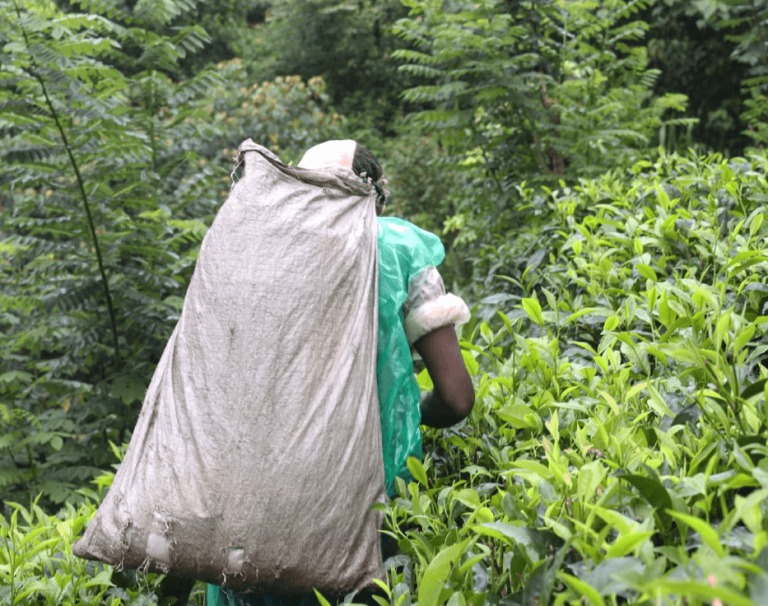 Abandoned by the State, Trapped in Private Estates: Rights Abuses ...